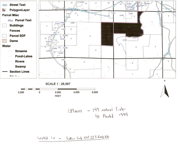 Steed Timber Company, Inc. Located in Lincoln, Alabama - Land For Sale ...