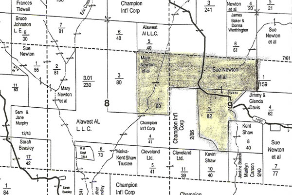 Steed Timber Company, Inc. Located in Lincoln, Alabama - Land For Sale ...